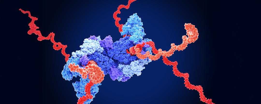 Custom Enzymes Designed for Your Assay | Medix Biochemica
